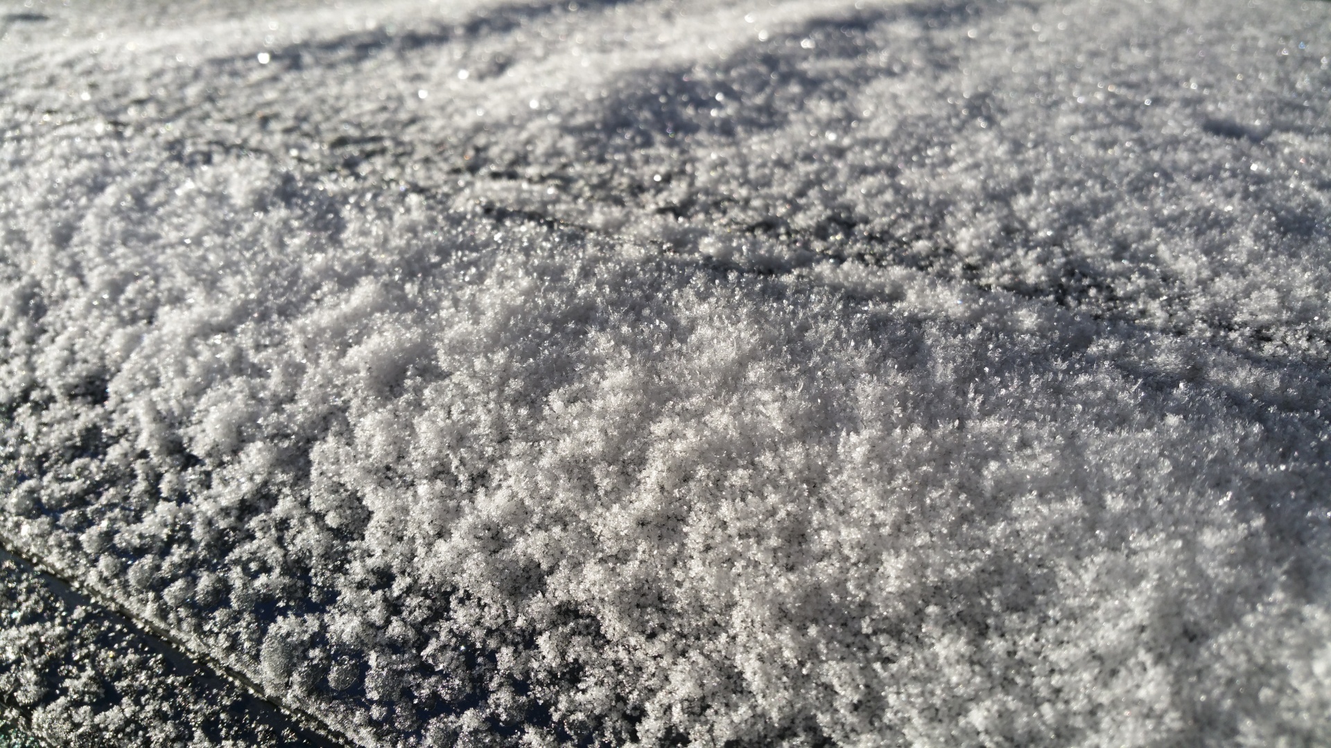 The First Snow of the Season – Nutmegger Daily