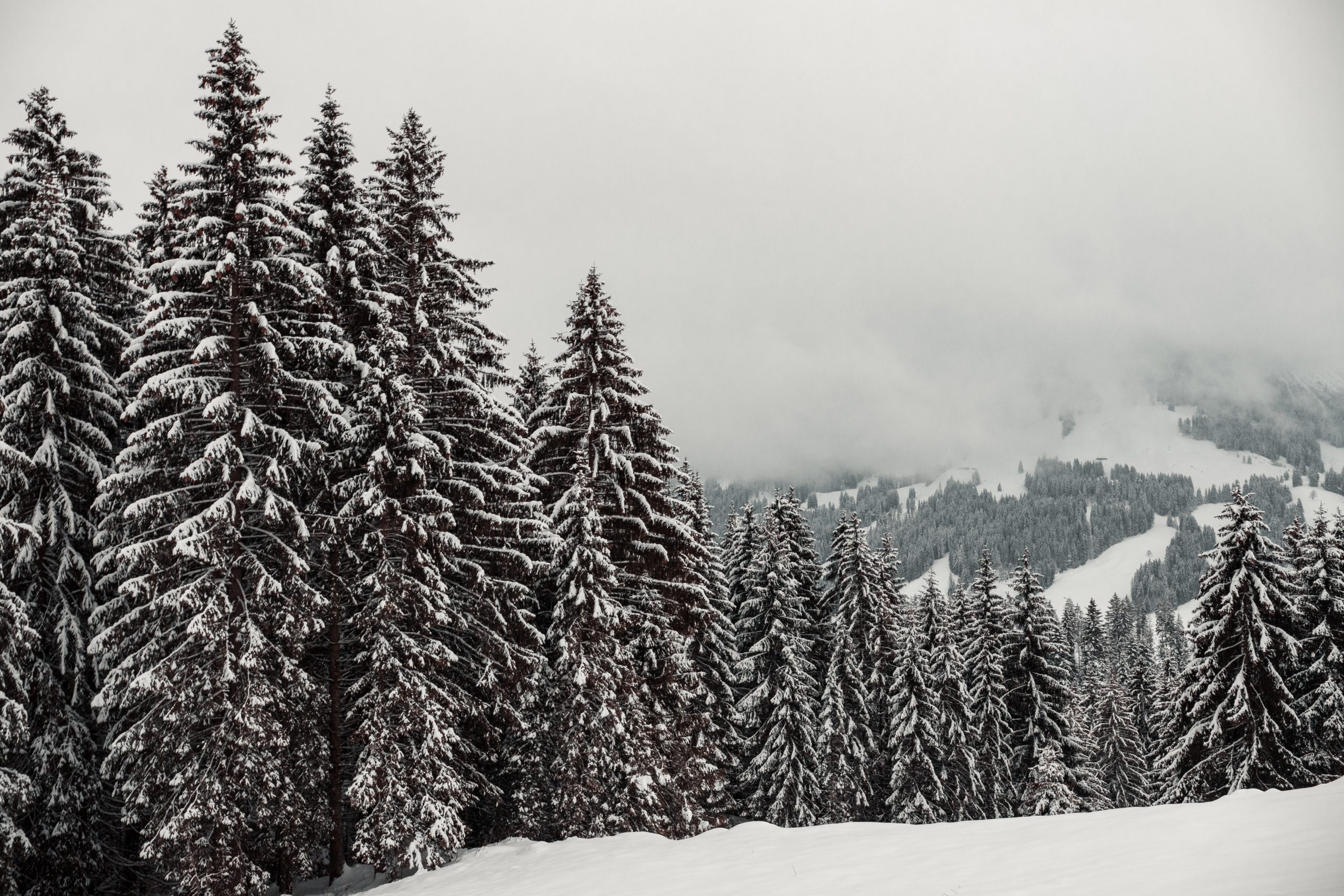 Do You Feel It? – Nutmegger Daily